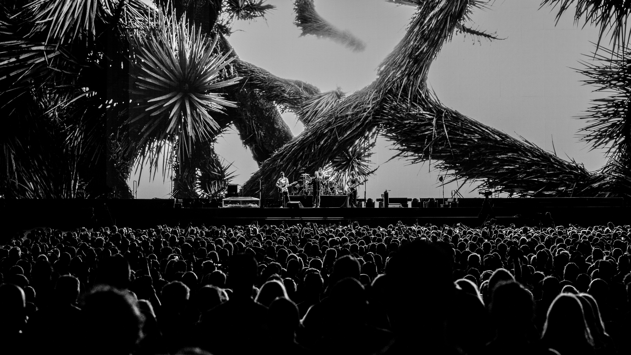 U2 Wow Philadelphia On The Joshua Tree Tour 2017 - The Rock Revival