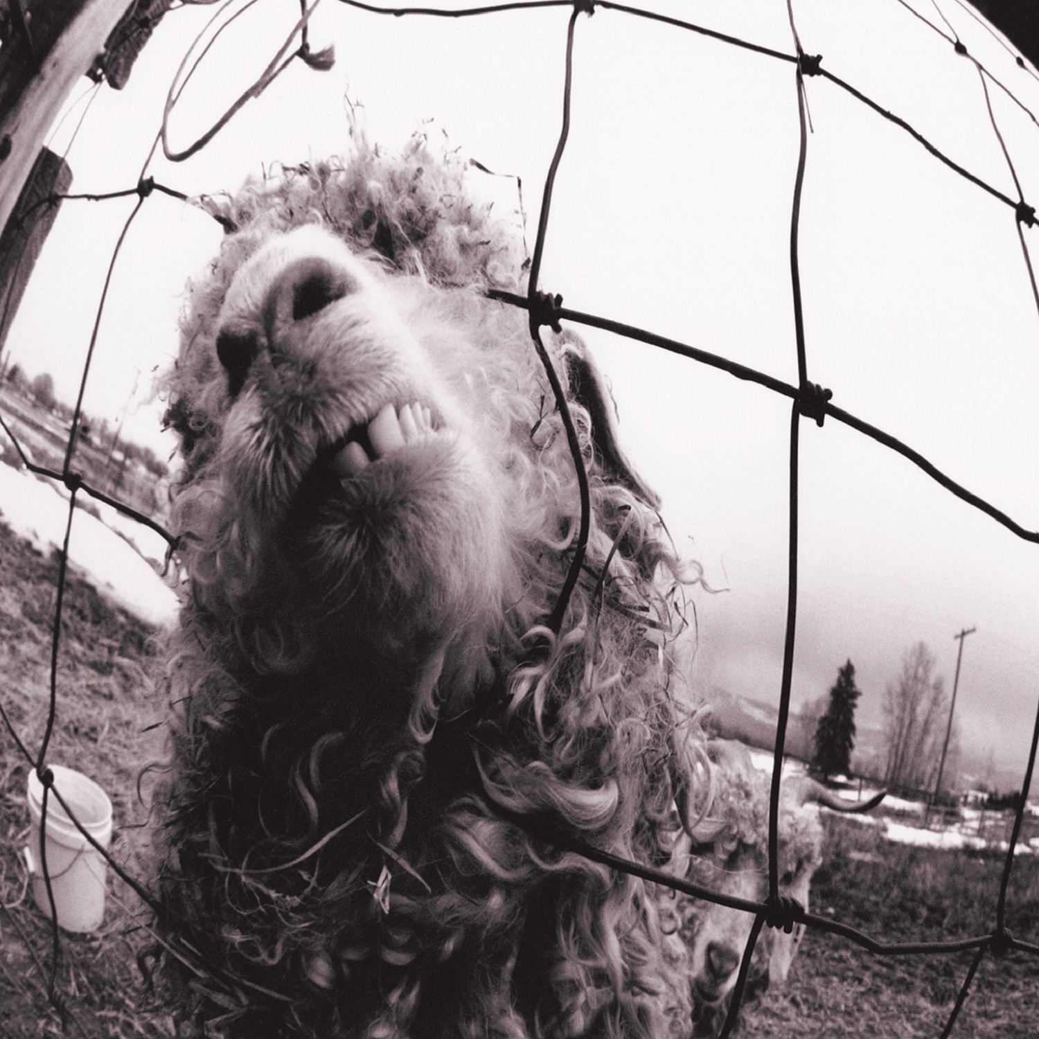Terrific Pearl Jam Vs 30th Anniversary Gallery